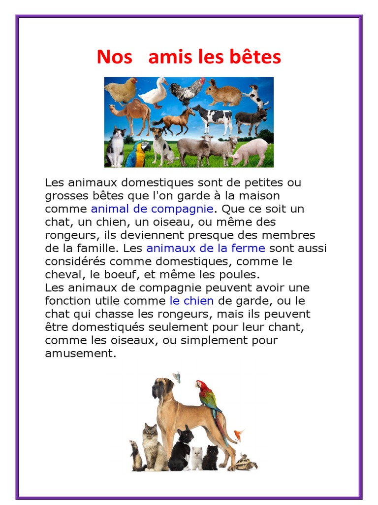 Les Animaux Domestiques | PDF
