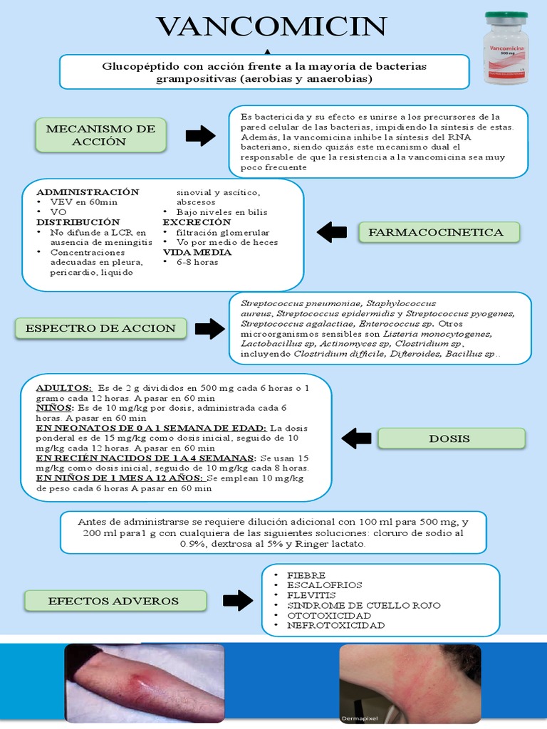 Vancomicina | PDF | Organismos | Bacterias Gram Positivas