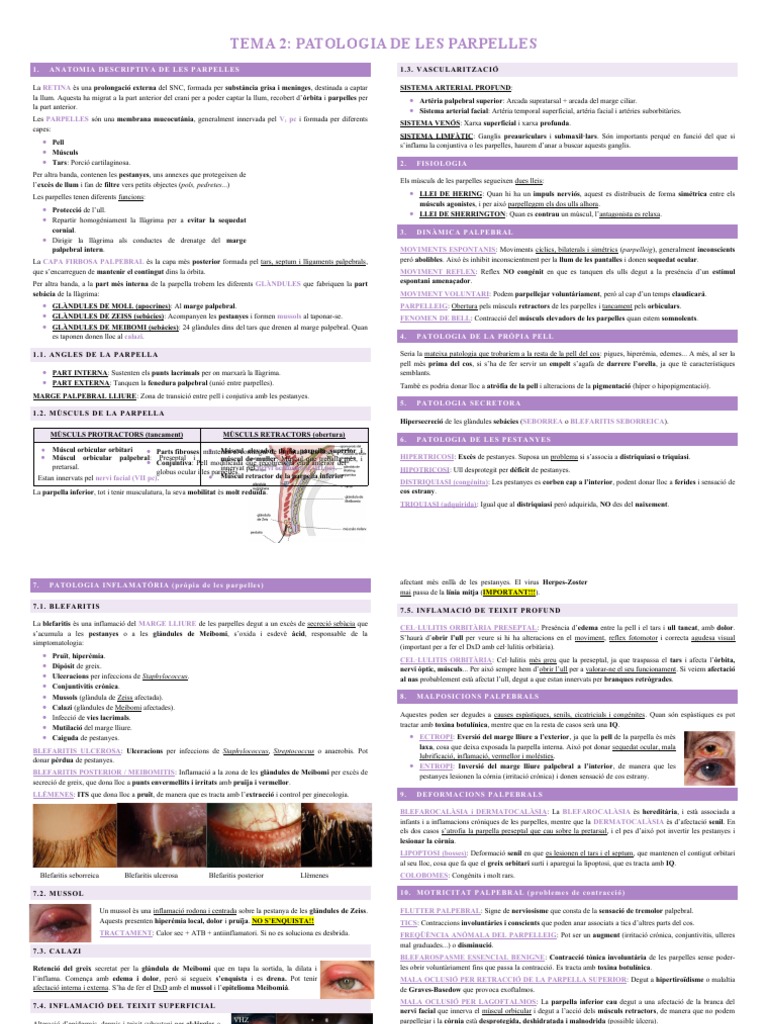 TE2 - Patologia de Les Parpelles | PDF