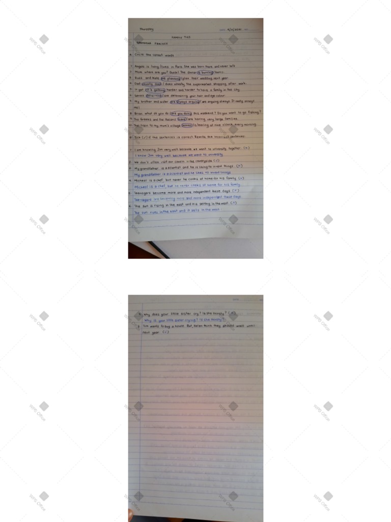 English Grammar Family Ties | PDF