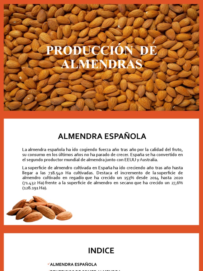 Producción de Almendras | PDF | Enfermedades cardiovasculares | aduana