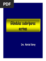 Glándulas Sudoríparas Ecrinas y Apocrinas | PDF | Termorregulación ...