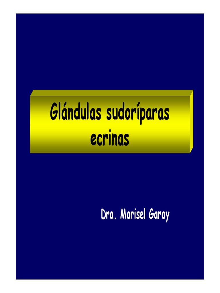 Glándulas Sudoríparas Ecrinas: Función y Hiperhidrosis | PDF ...