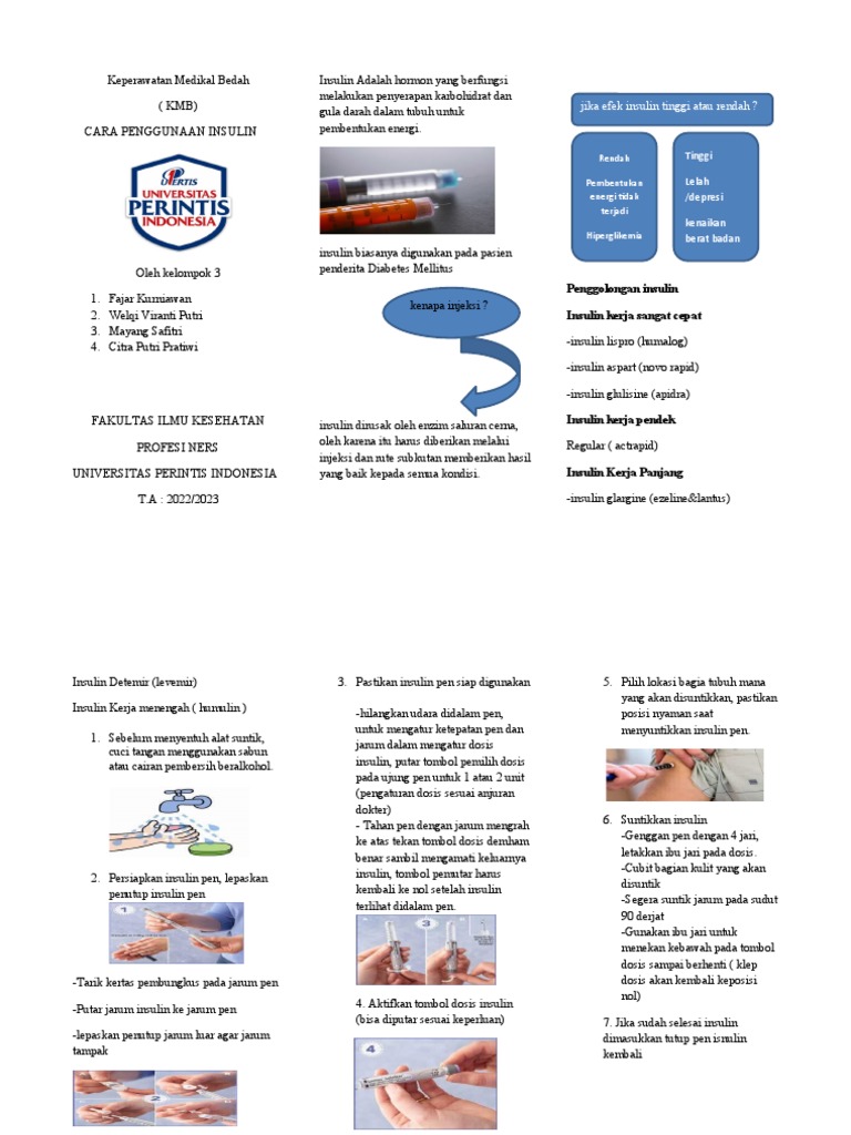 Leaflet KMB Injeksi Insulin KLP 3 | PDF