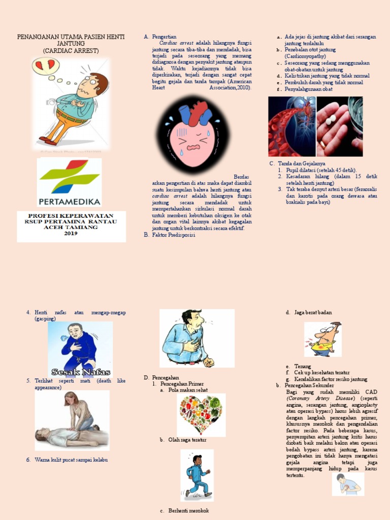 Leaflet Cardiac Arrest | PDF
