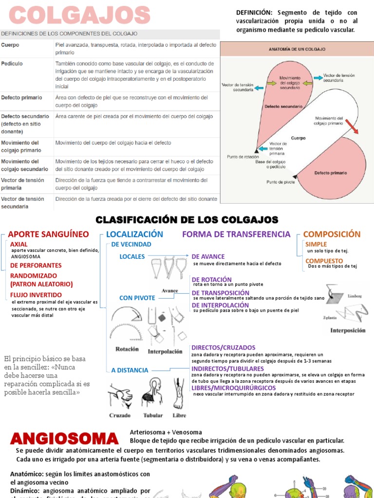 Clasificación de Colgajos Cutáneos | PDF | Hueso | Medicina CLINICA