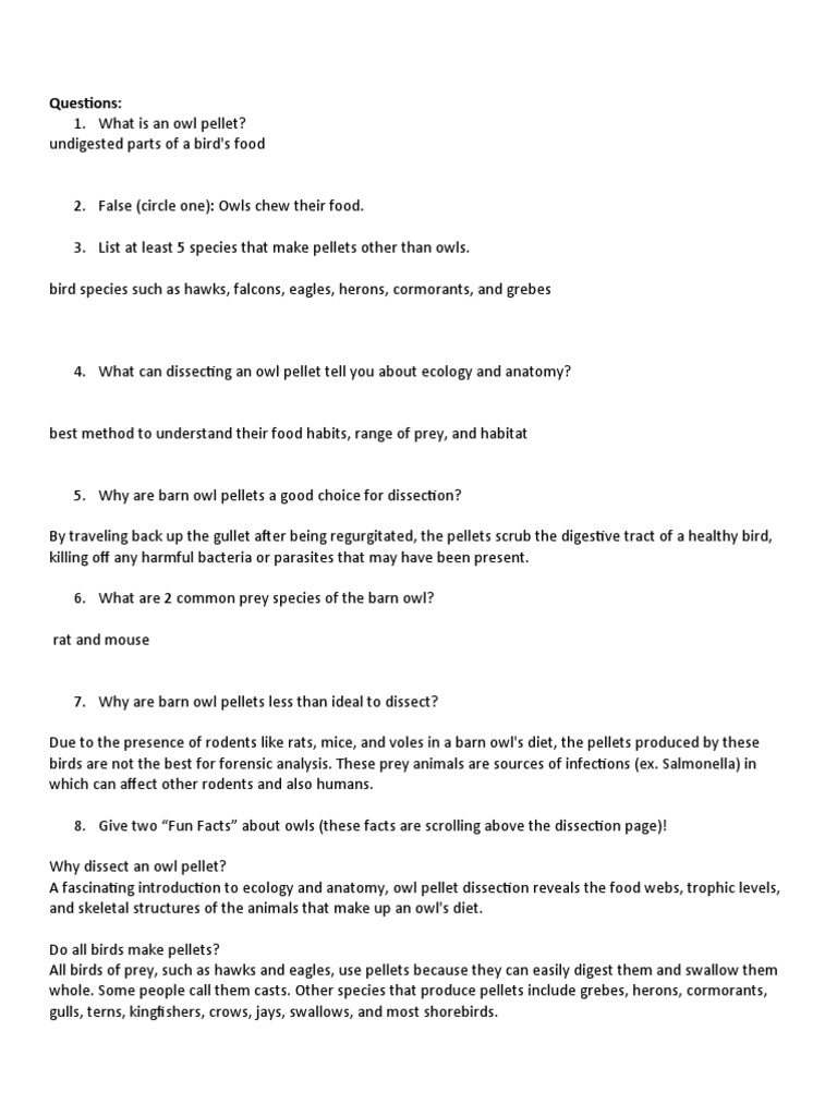 Owl Pellet Dissection Overview | PDF