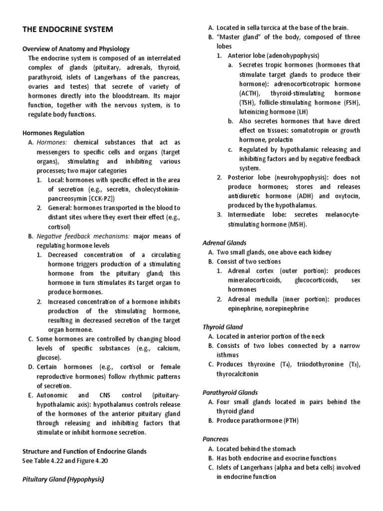 The Endocrine System | PDF | Endocrine System | Hyperthyroidism