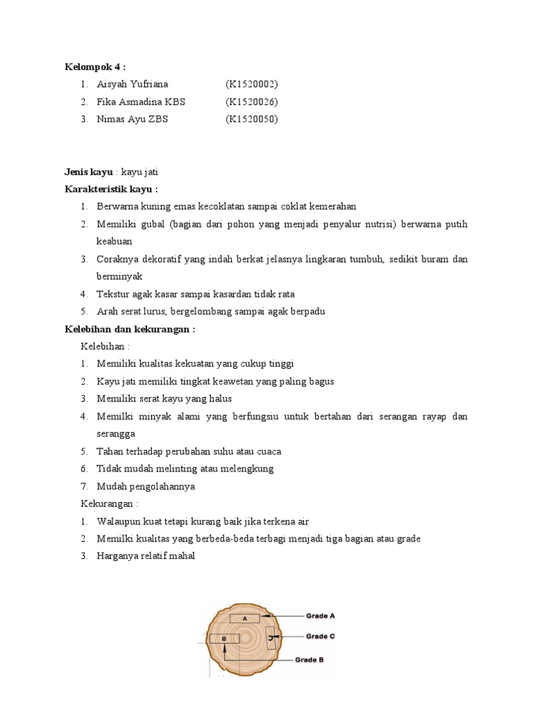 Lembar Kerja Kelompok 4 Struktur Kayu | PDF