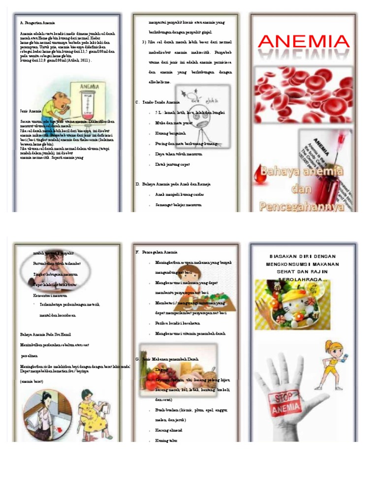 Leaflet Anemia | PDF