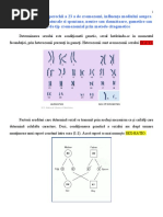 CODURI Boala - Lista 999 PDF | PDF