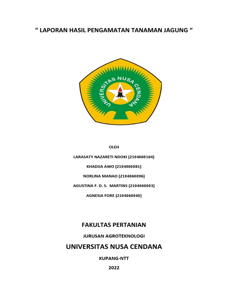 Laporan Hasil Pengamatan Tanaman Jagung Pdf