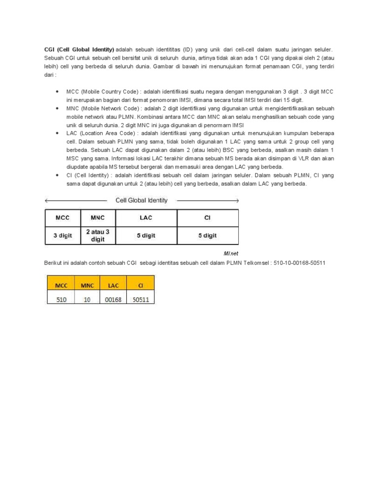 CGI Cell Global Identity | PDF | Pengelolaan Keuangan & Uang ...