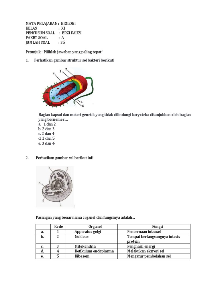 Soal Biologi Kelas XI | PDF