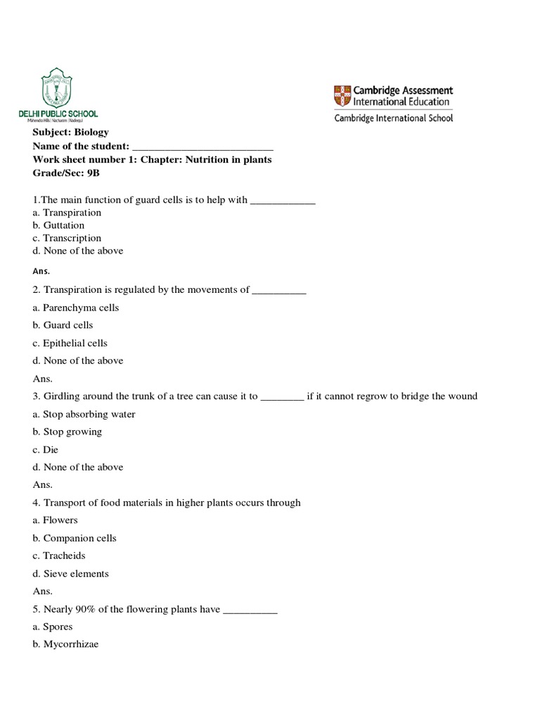 Biology Worksheet - Chapter Nutrition in Plants | PDF