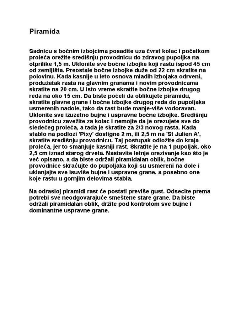šljiva piramida | PDF
