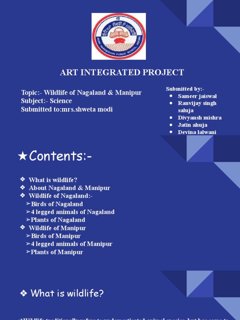 Biology Art Integrated Project | PDF | Bears