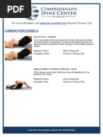 McGill's Core Exercises Guide | PDF | Musculoskeletal System