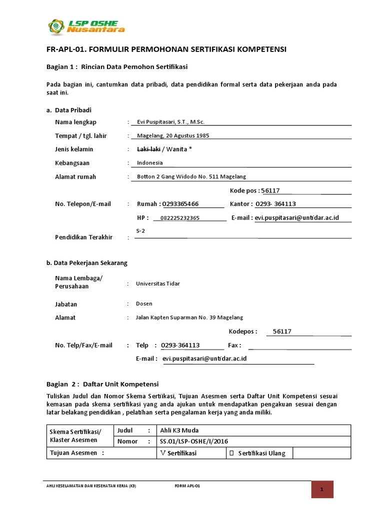 FR-APL-01 AK3 MUDA - Evi Puspitasari | PDF