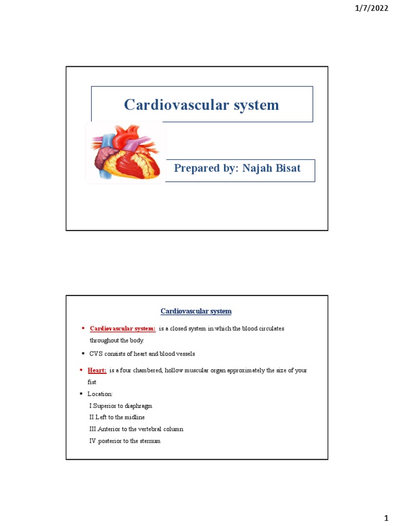Cardiovascular System Lecture | PDF | Heart Valve | Heart