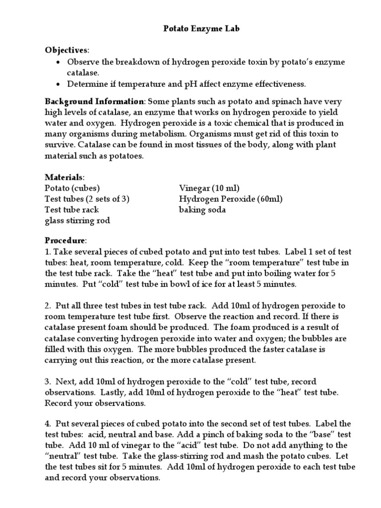 Potato Enzyme Lab Honors | PDF | Catalase | Hydrogen Peroxide