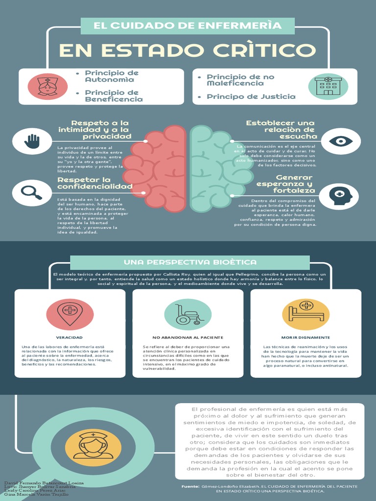 Infografia El Cuidado de Enfermería Del Paciente en Estado Crítico Una ...