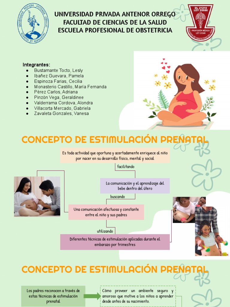 Estimulacion Prenatal | PDF | Percepción visual | El embarazo
