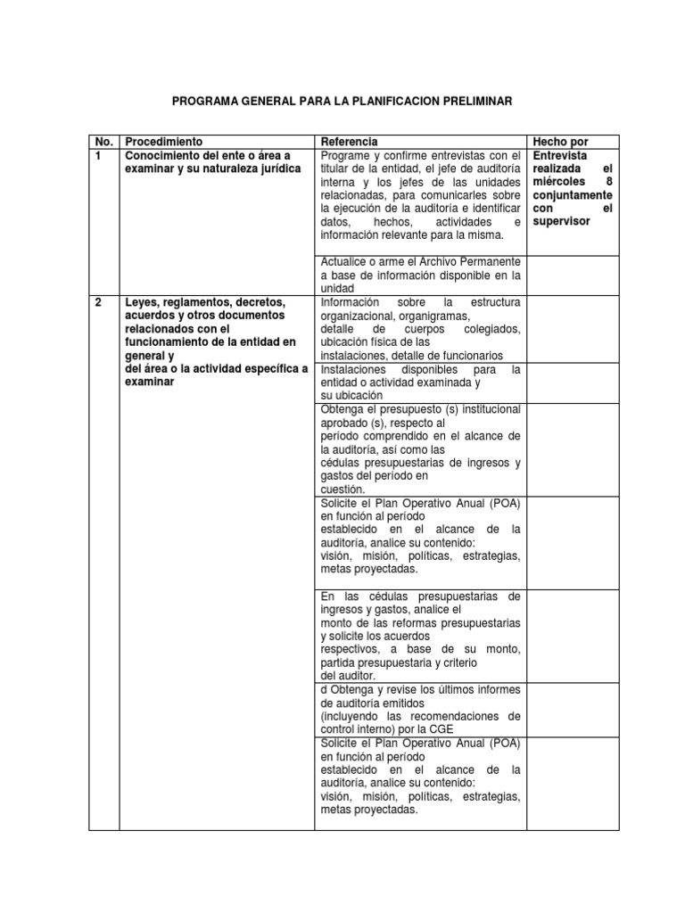 Programa General para La Planificacion Preliminar | PDF | Auditoría ...