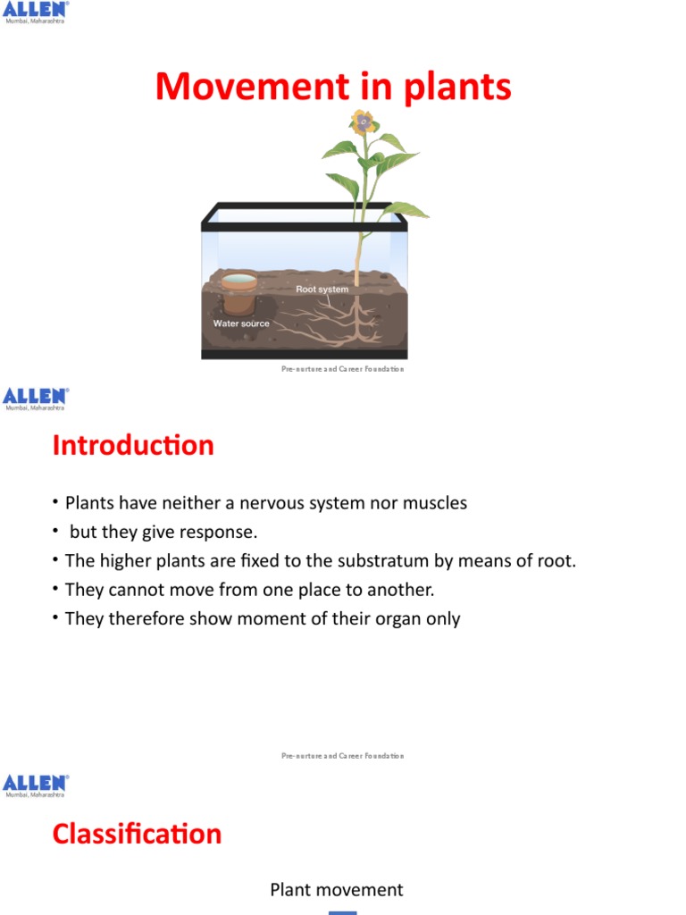 Movement in Plants | PDF | Neuroscience | Cognitive Science