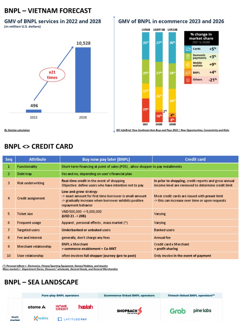 BNPL Report | PDF | Credit | Finance & Money Management