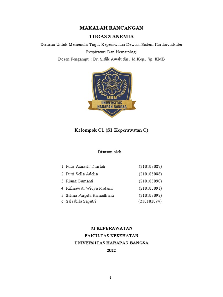 Makalah Analisa Picot Anemia - Kelompok C1 - S1 Keperawatan 3C | PDF