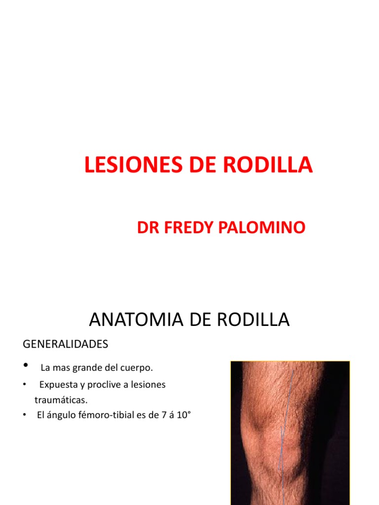 Lesiones y Anatomía de la Rodilla | PDF | Rodilla | Anatomía del ...