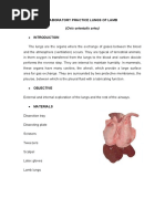 Activity 1.1 Science 9 | PDF | Lung | Respiratory System