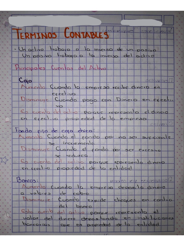 Términos Contables | PDF