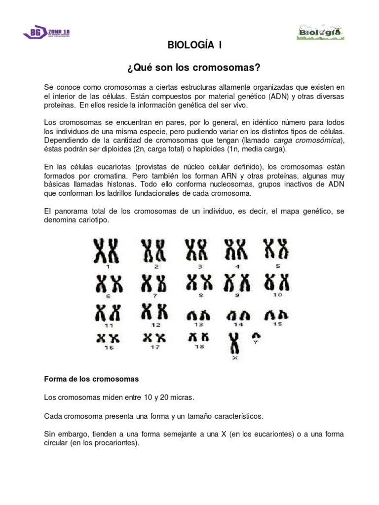 CROMOSOMAS | PDF | Cromosoma | Biología Celular)