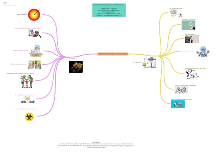 Mapa Conceptual | PDF | Experimentar | Interacciones de disciplina académica