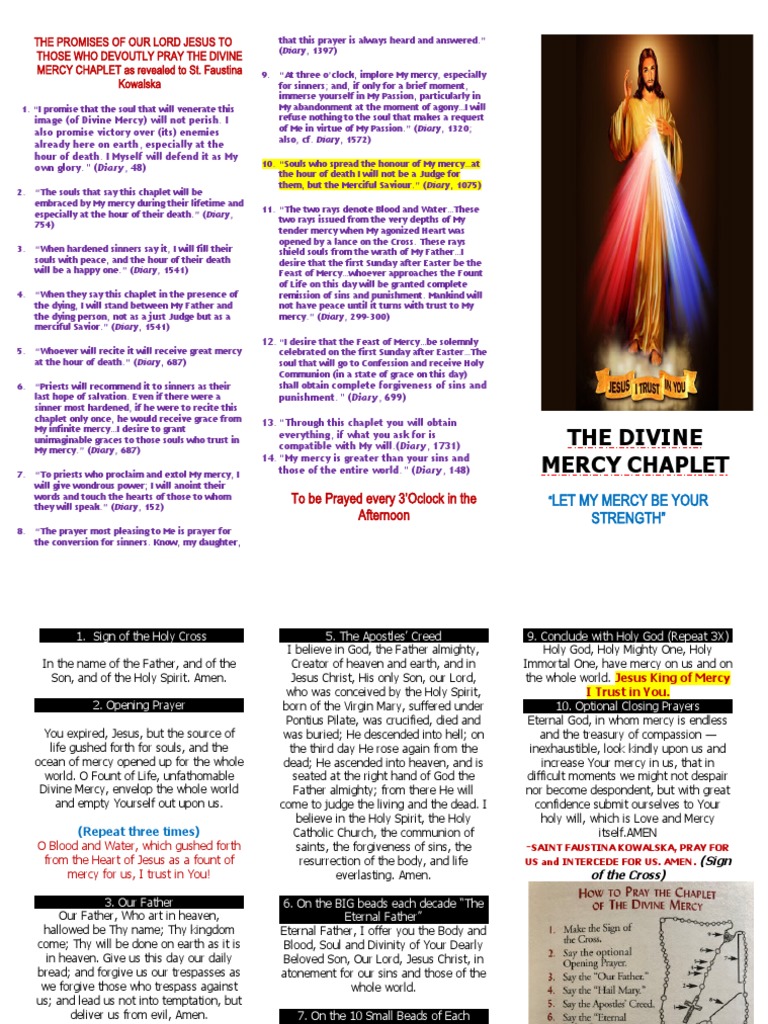 Divine Mercy Chaplet Short | PDF | God The Father | Systematic Theology