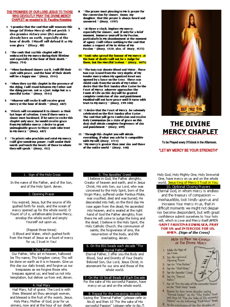 Divine Mercy Chaplet Booklet - A4 | PDF | Mercy | God The Father
