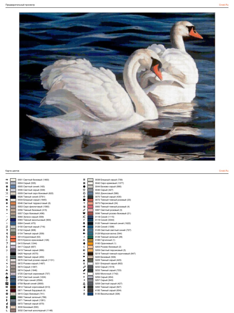 Swans | PDF