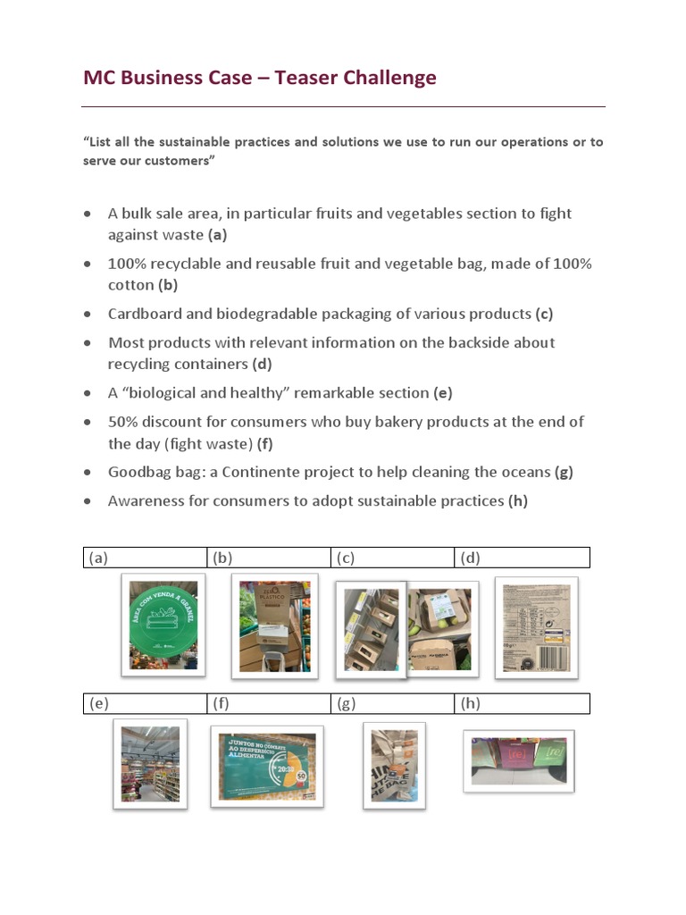 MC Business Case - Teaser | PDF