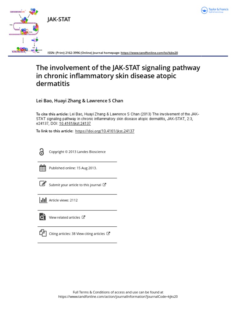 The Involvement Of The Jak Stat Signaling Pathway In Chronic