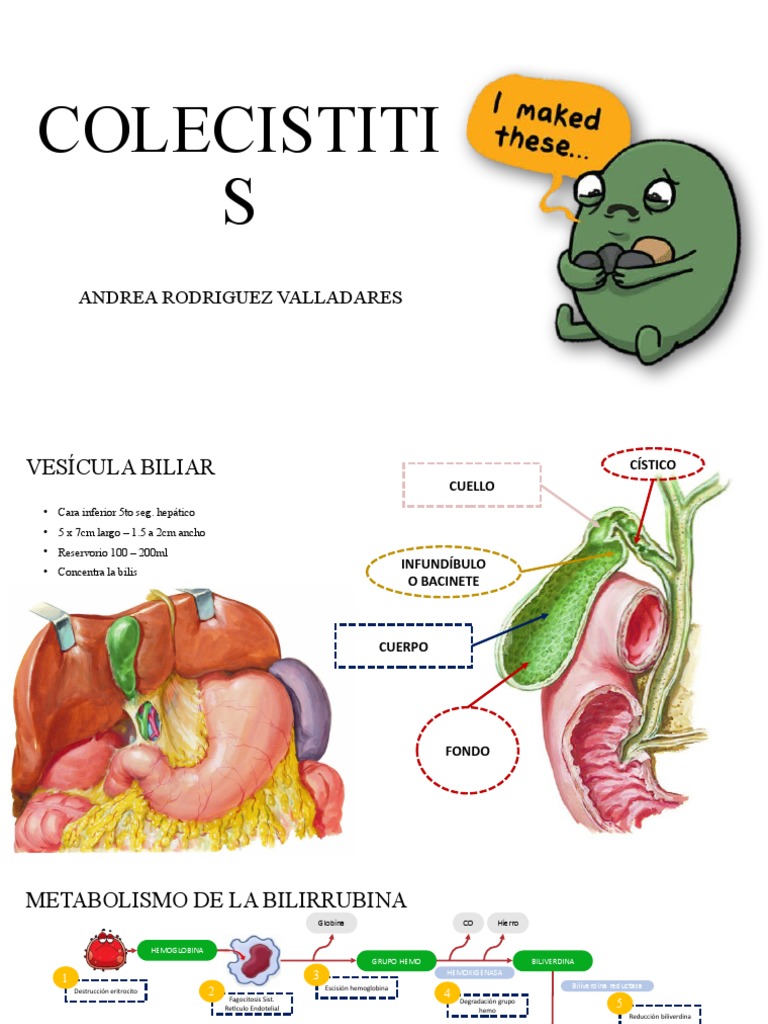 COLECISTITIS | PDF | Bilis | Medicina CLINICA