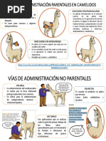 Dorcol Forte Inserto | PDF | Tableta (Farmacia) | Drogas