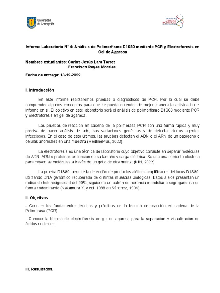 Informe PCR | PDF | Reacción en cadena de la polimerasa | Electroforesis