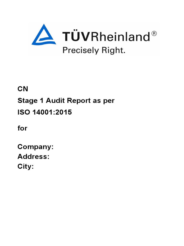 Exercise 2.3 - Stage 1 Auditing Practice Template Report | PDF | Audit | Business