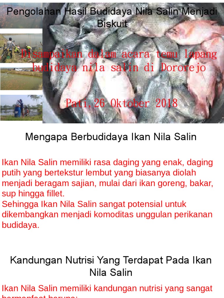 Biskuit Nila Salin Print | PDF