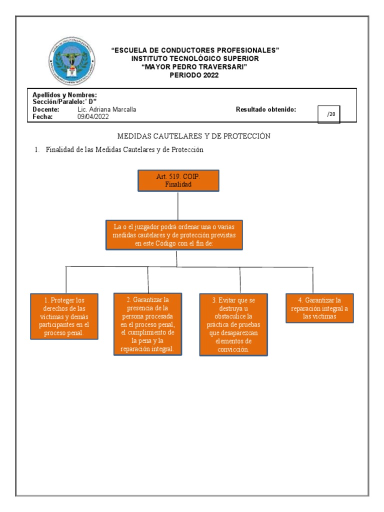 Mapa Conceptual MEDIDAS CAUTELARES Y DE PROTECCIÓN Unidad 6 | PDF | Mandato | Justicia