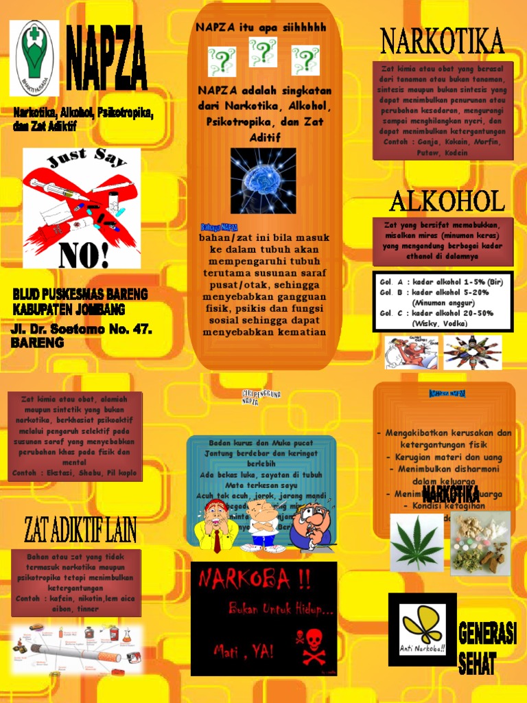 Leaflet 2 Napza | PDF