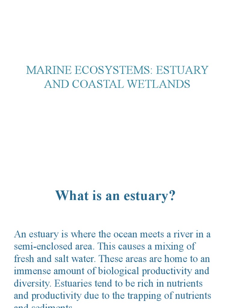 Marine Ecosystems Estuary and Coastal Wetlands | PDF | Estuary ...