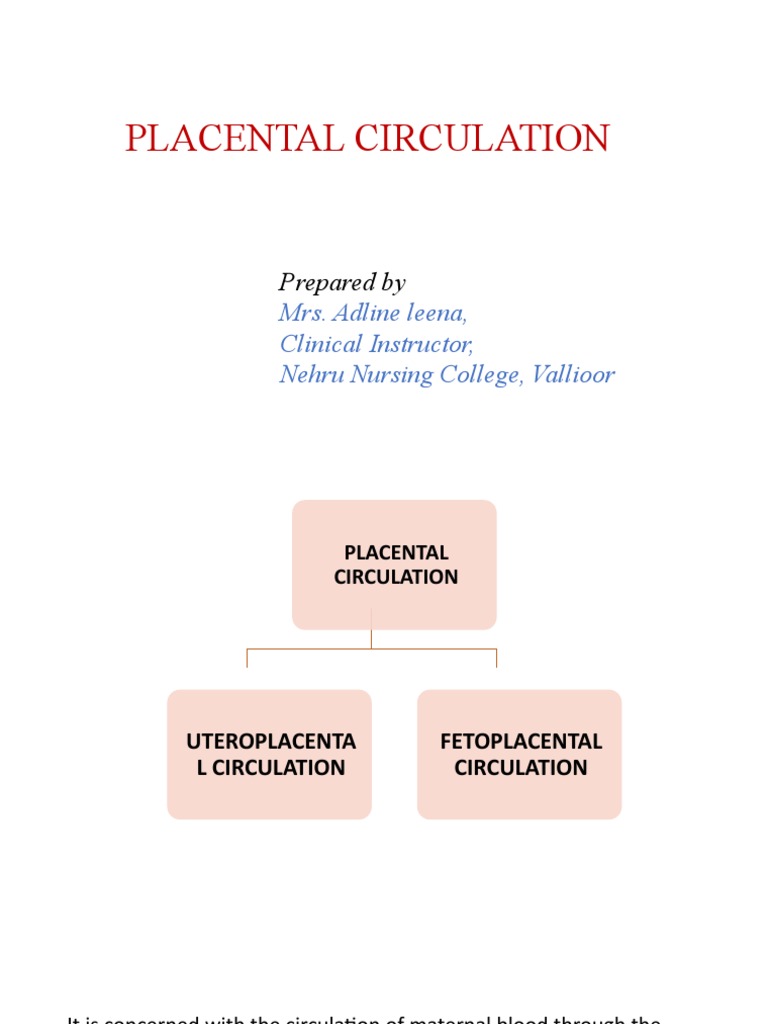 Unit 2 Placental Circulation | PDF | Placenta | Fetus